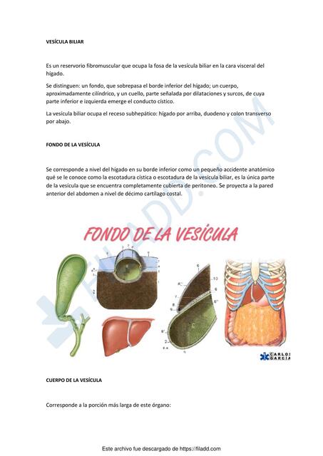 inbound | Nirvana Jimenez | uDocz