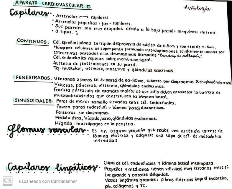 Aparato Cardiovascular | Rvinsh Shcn | uDocz