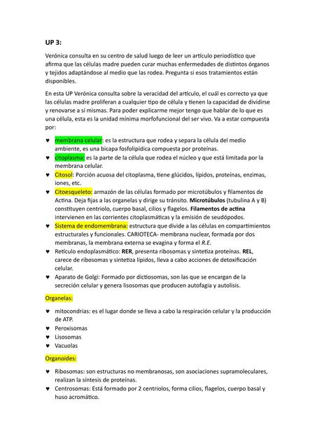 UP 3 CyD Introducción | Yadi | uDocz