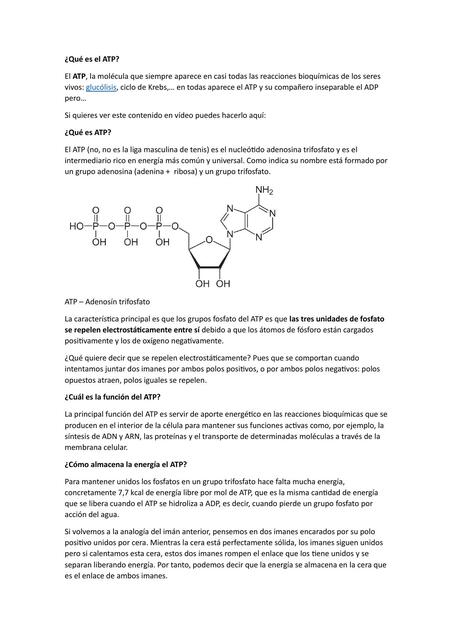 Qué es el ATP | Barbi | uDocz
