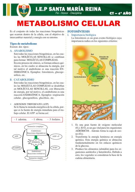 CLASES DE BIOLOGIA 4TO AÑO | Roberto | uDocz