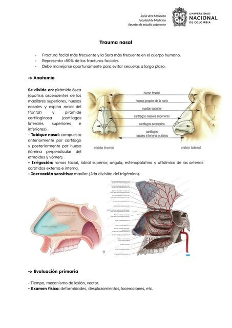 Trauma nasal | Sofía Vera | uDocz