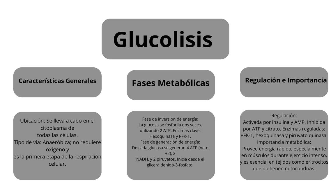 Glucolisi | Javier | uDocz