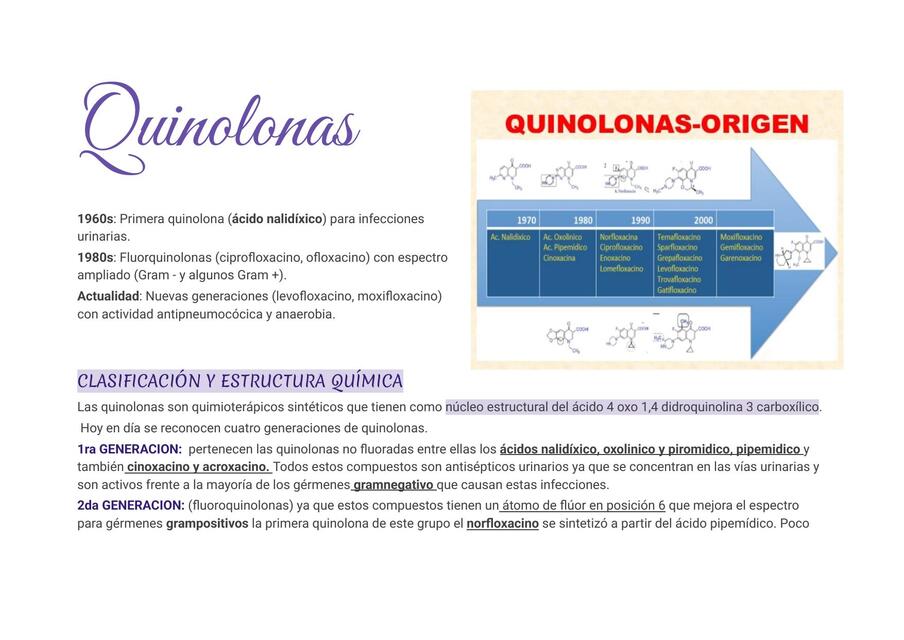 Quinolonas | Arlette Andrade | uDocz