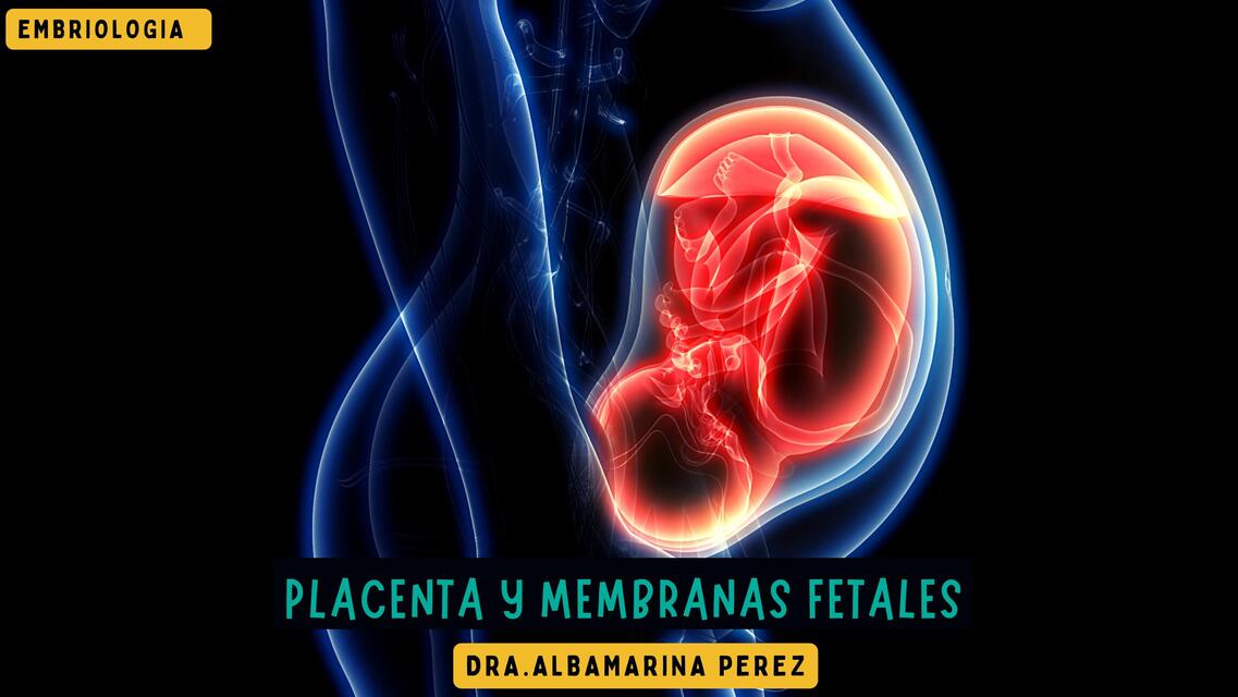 Placenta y membranas fetales | MAYDA CORIA T. | uDocz