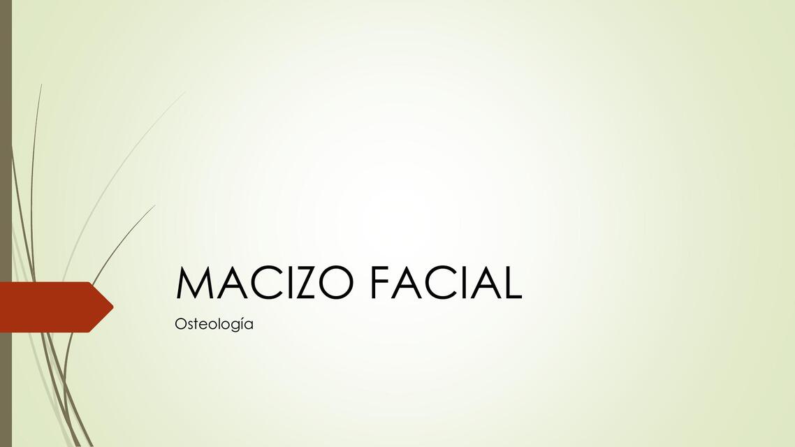 MACIZO FACIAL | Sofia | uDocz