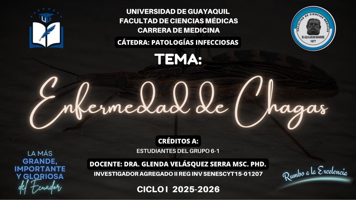 28. ENFERMEDAD DE CHAGAS - SEMINARIO | Bellakos.Med | uDocz