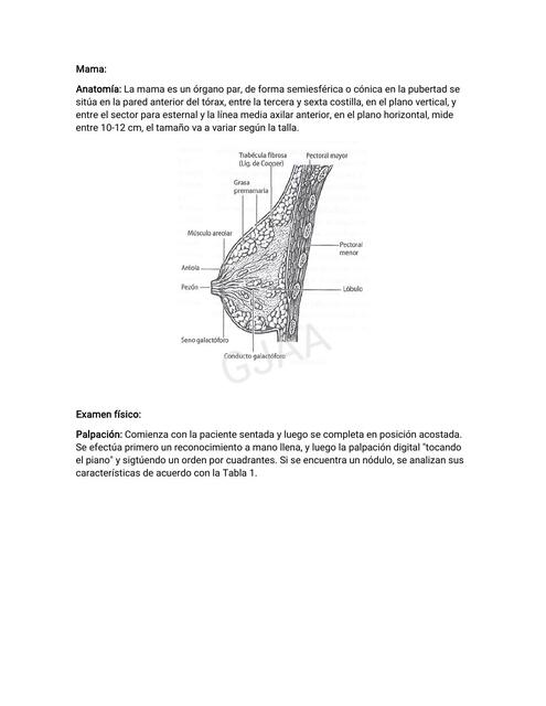 Resumen Clínica quirúrgica | Gleiber Alvares | uDocz