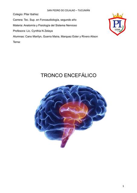 Tronco Encefalico 1 | Ester Marquez | uDocz