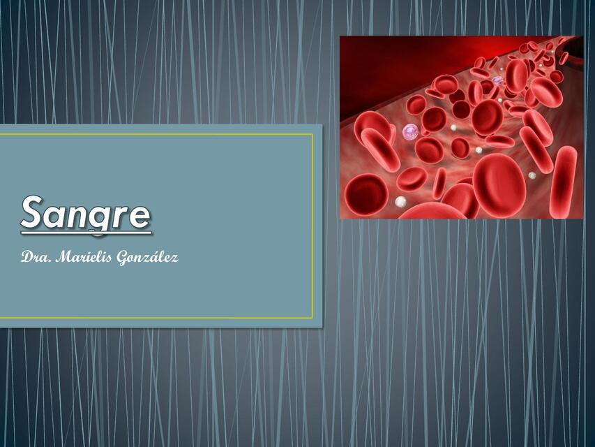 Sangre | Breenstudy | uDocz