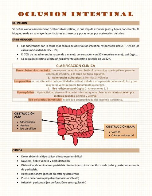 OCLUSION INTESTINAL | Medi-miau-notes_Key | uDocz