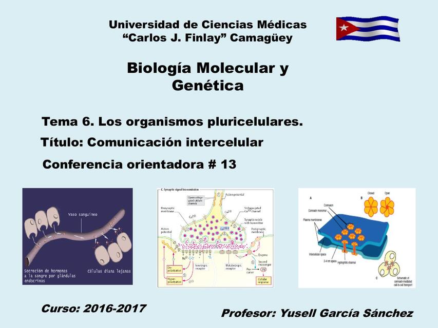 Comunicacion intercelular 1 | Yusell | uDocz