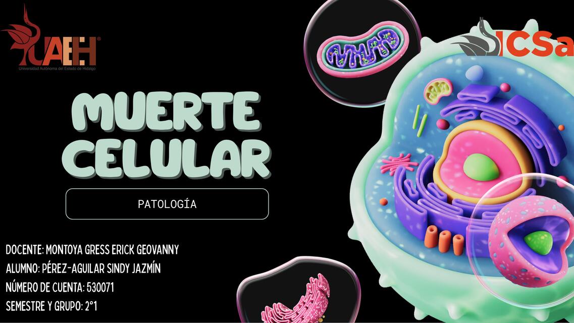 Animal Cell Organelles NGSS Educational Presentati | Estrella | uDocz