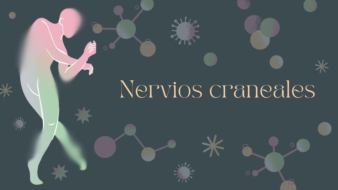 Nervios craneales y su patologia | SEBASTIAN KEFREN | uDocz