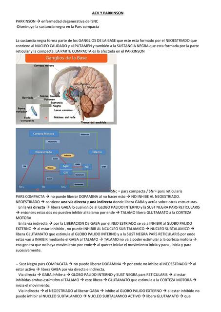 ACV Y PARKINSON | Sofia | uDocz