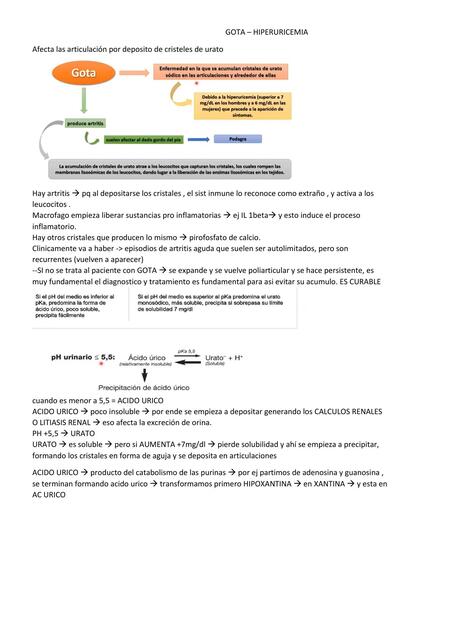 GOTA | Sofia | uDocz