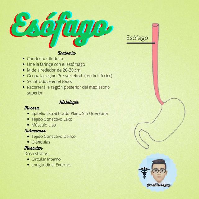 esofago | uDocz