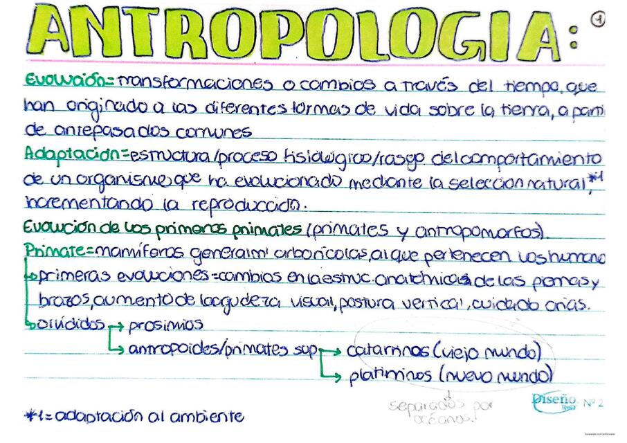 fichas antropología cyd | Florencia Breuer | uDocz