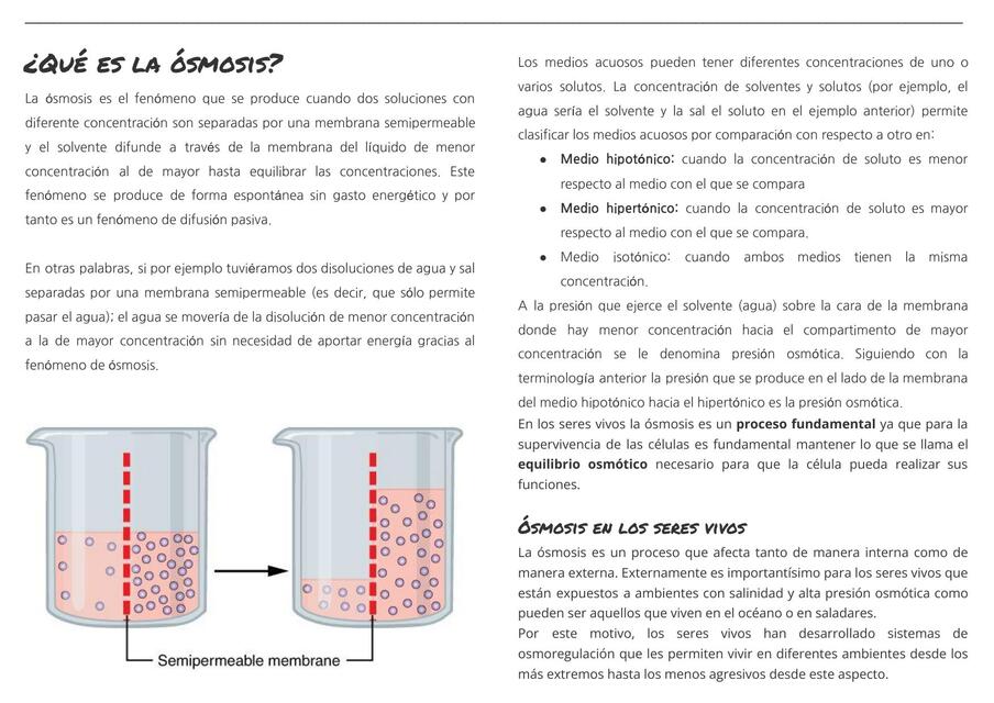 Qué es la ósmosis | María Eugenia | uDocz