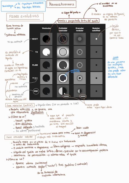 DX Y LAB | Cristina Guzmán | uDocz