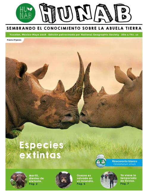 mayoweb | Lucy Torito | uDocz