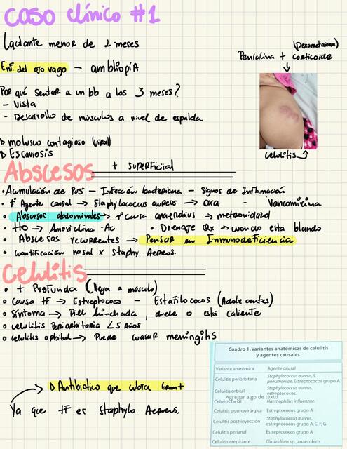 Abscesos Celulitis Osteomelitis | john | uDocz