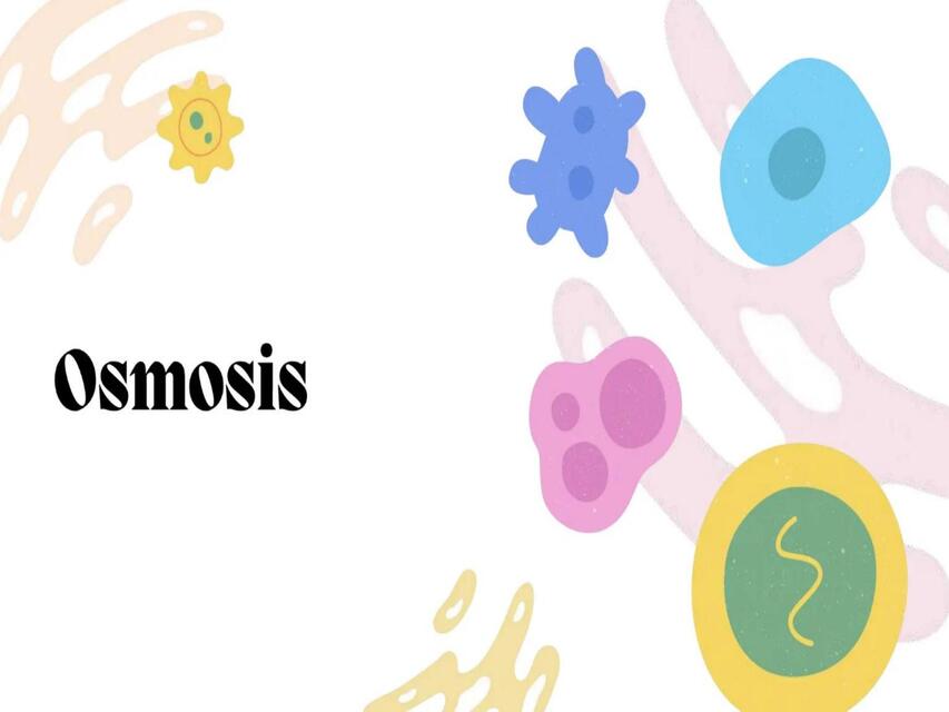 osmosis | angel gabriel | uDocz