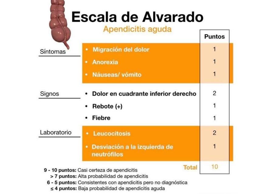 Escala de Alvarado (Apendicitis aguda) | fraii | uDocz