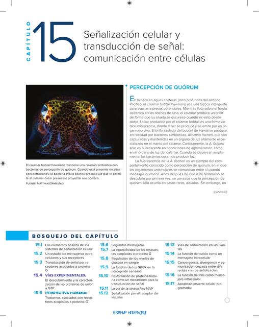 Capítulo 15 de karp | Elmer Brayan | uDocz