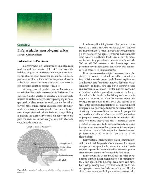 2 enf neurodegenerativas | Gabriela | uDocz