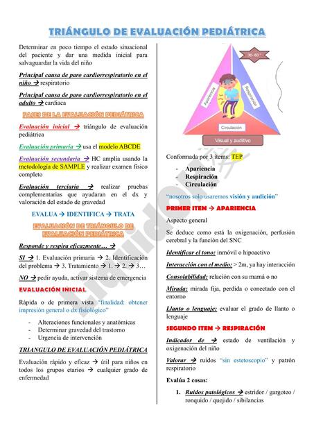 55. Triángulo de Evaluación Pediátrica | LiquidOH愛 | uDocz
