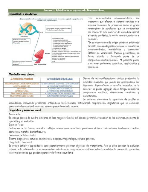 catedra 3 neuro | Jennifer Campos Aguayo | uDocz