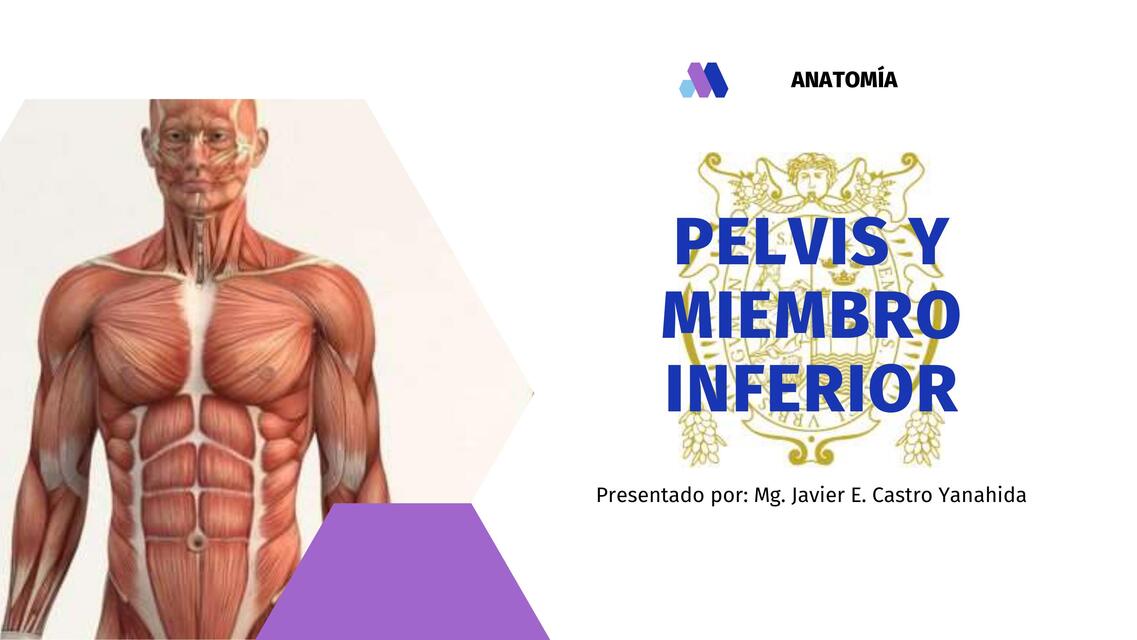 UNMSM medicina anatomia | Joriel Dayana R | uDocz