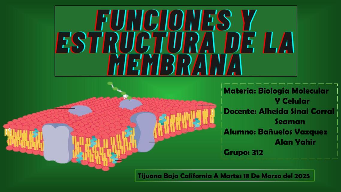 FUNCIÓN DE LA MEMBRANA | Alan Yahir | uDocz
