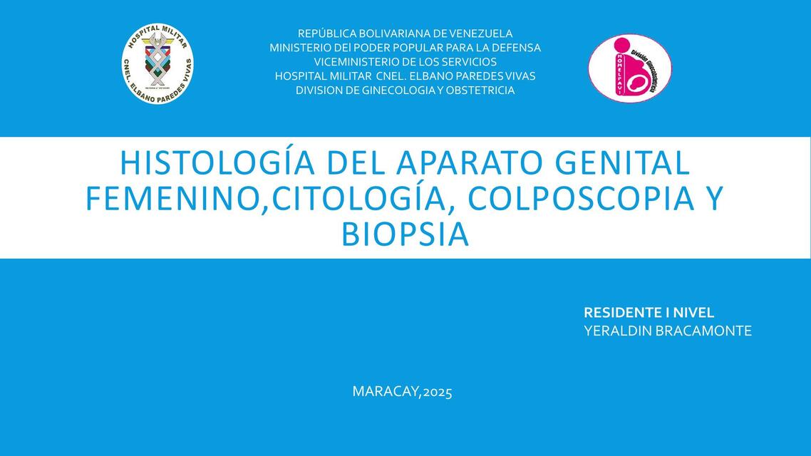 HISTOLOGÍA DEL APARATO GENITAL FEMENIN BRACA | David | uDocz