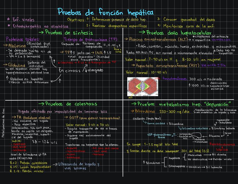 Pruebas de funcion hepatica | ATENAS JERICO | uDocz