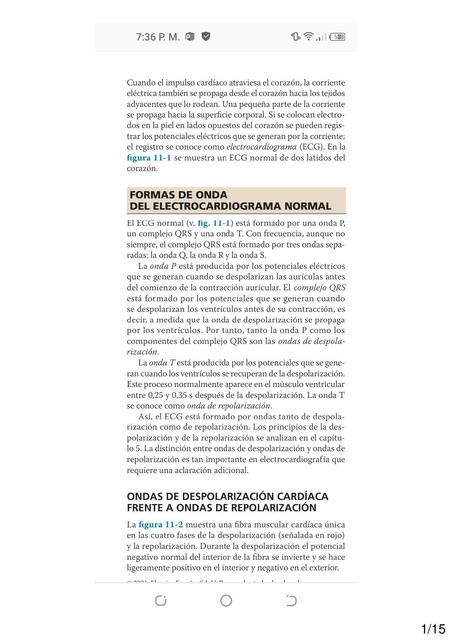 electro fisio mapa | Núñez | uDocz