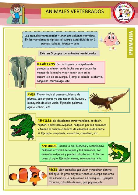 AnimalesVertebrados 3y4Primaria | ingrid gianella | uDocz