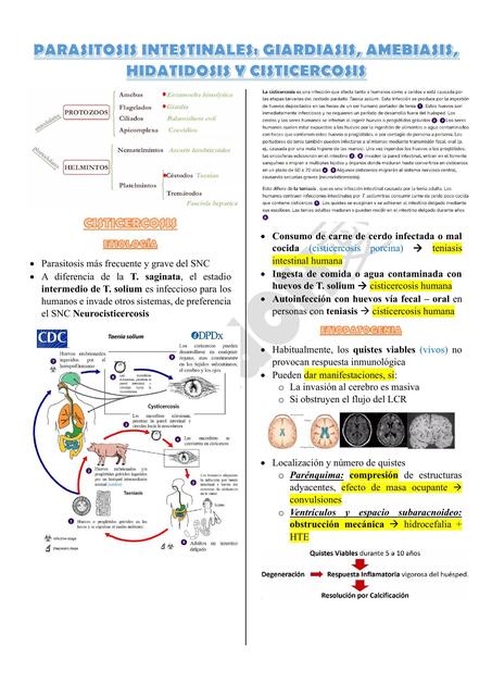 77. Parasitosis Intestinal: Giardiasis, Amebiasis, Hidatidosis y ...