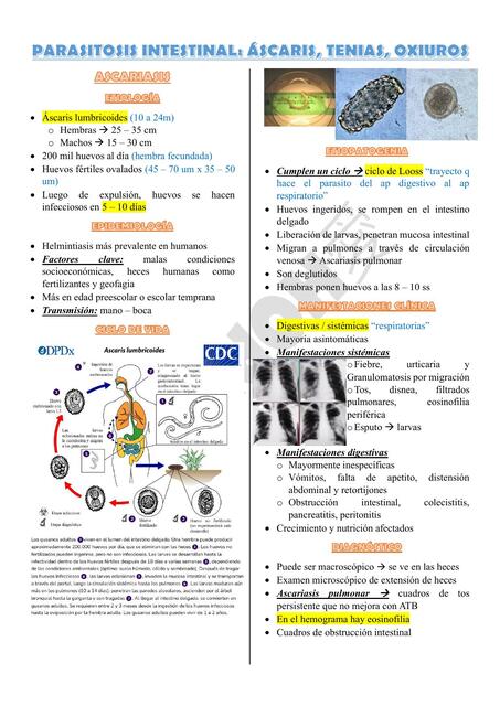 76. Parasitosis Intestinal: Áscaris, Tenias y Oxiuros | LiquidOH愛 | uDocz