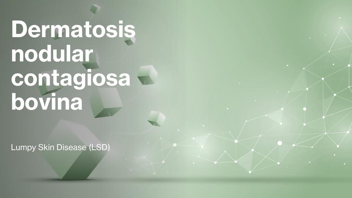 Dermatosis nodular contagiosa bovina | petSfam | uDocz