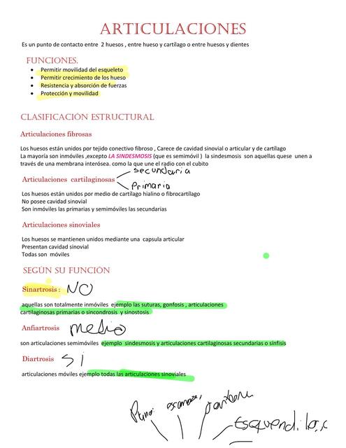 Articulaciones 2 | juan | uDocz