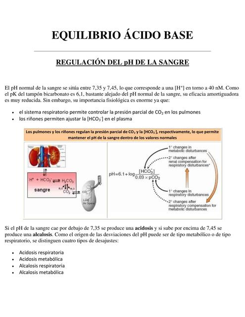 Equilibrio ácido base | Lorena | uDocz