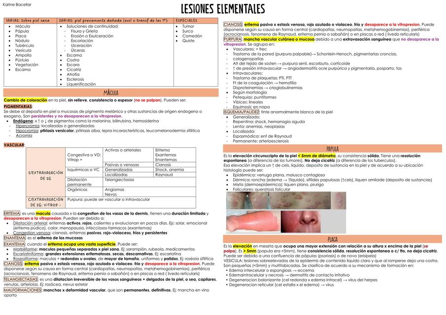 Lesiones elementales | Karine Bacellar | uDocz