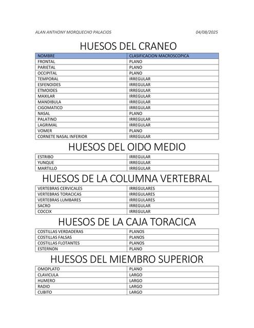 Clasificacion De Los 206 Huesos Del Cuerpo Humano Alan Udocz