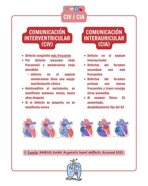 Comunicación interventricular e interauricular | Ximena | uDocz