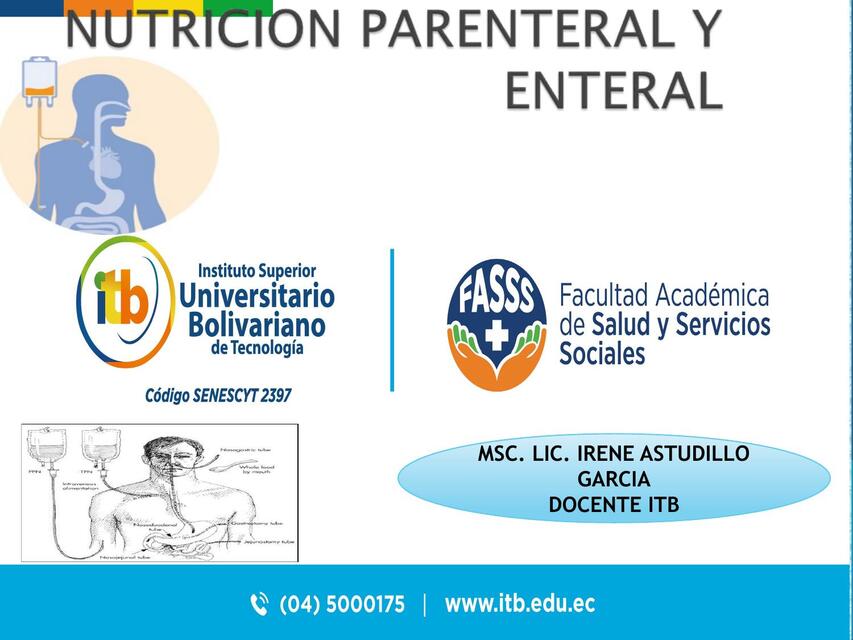 Nutricion Enteral y Parenteral IRENE | Lilia Torres | uDocz