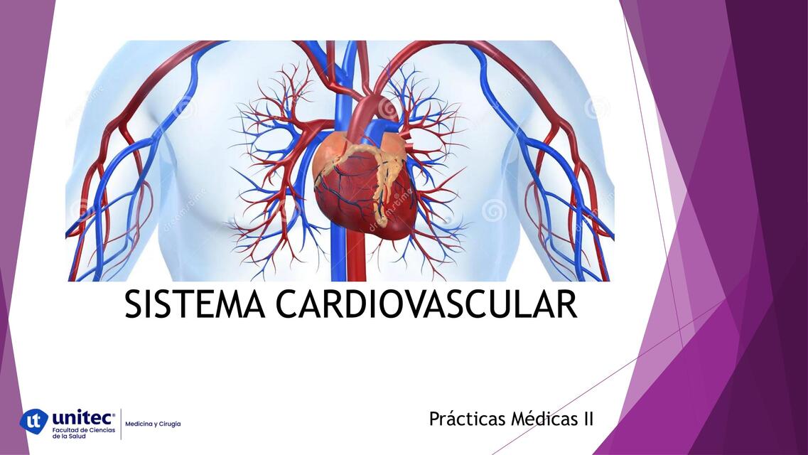 Semiologia cardio PM II | Ariel Faustino González Quintero | uDocz