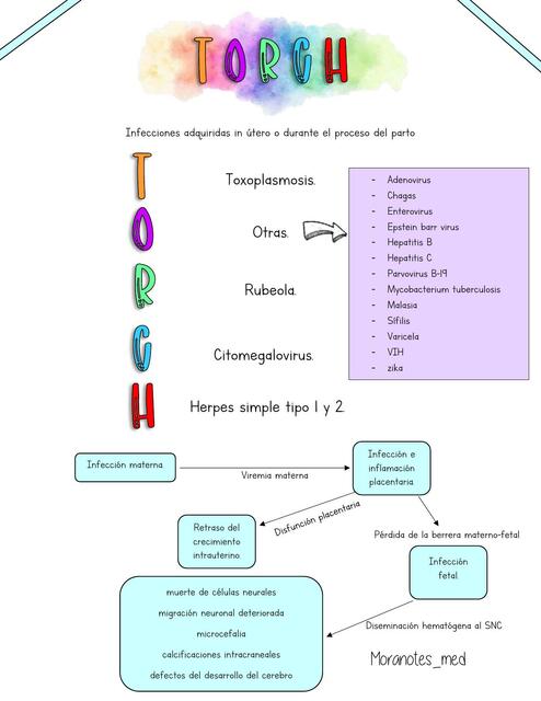 Resúmenes de Torch | Descarga apuntes de Torch
