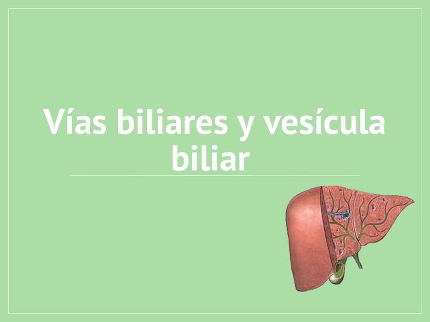 DOC WA | Karleivis | uDocz